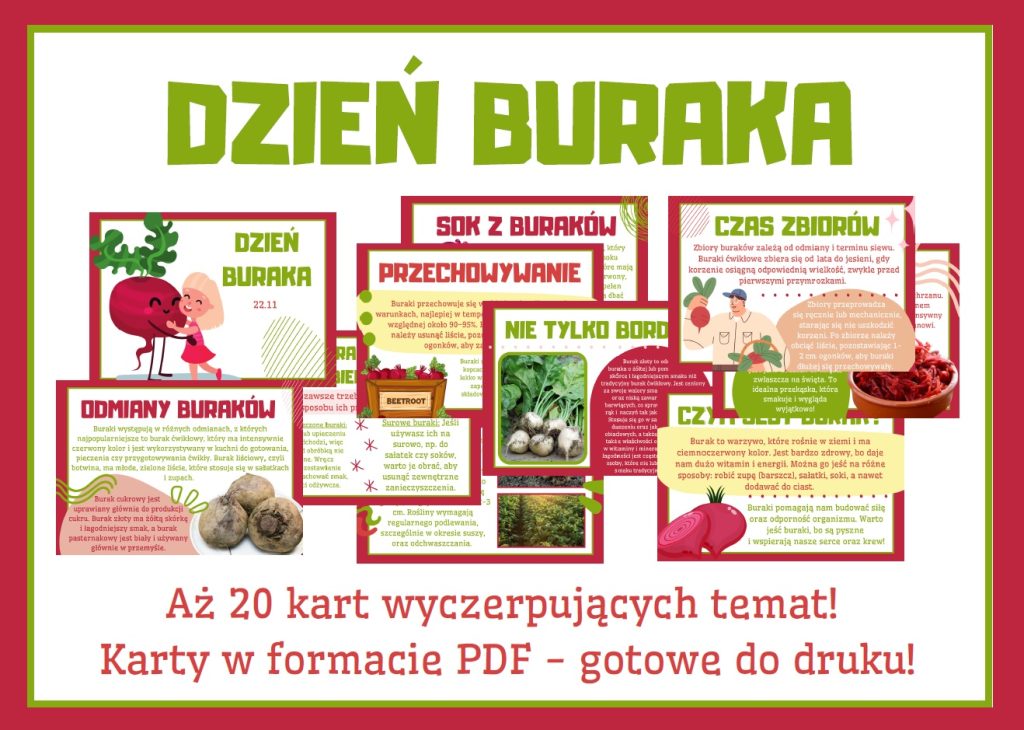 Dzień Buraka - gazetka szkolna PDF - 2026