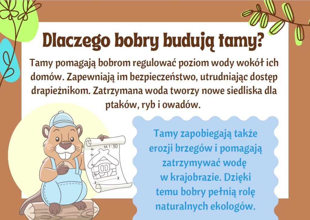 Międzynarodowy Dzień Bobrów - gazetka szkolna - 2026