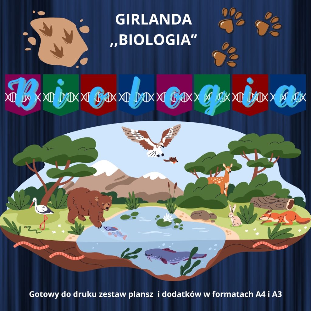 NAPIS: „Biologia” – do druku (6) - 2025