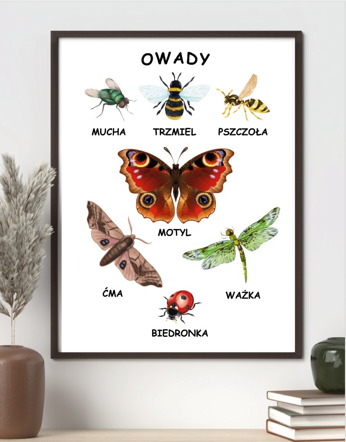 Plakat – Owady – do druku PDF - 2026