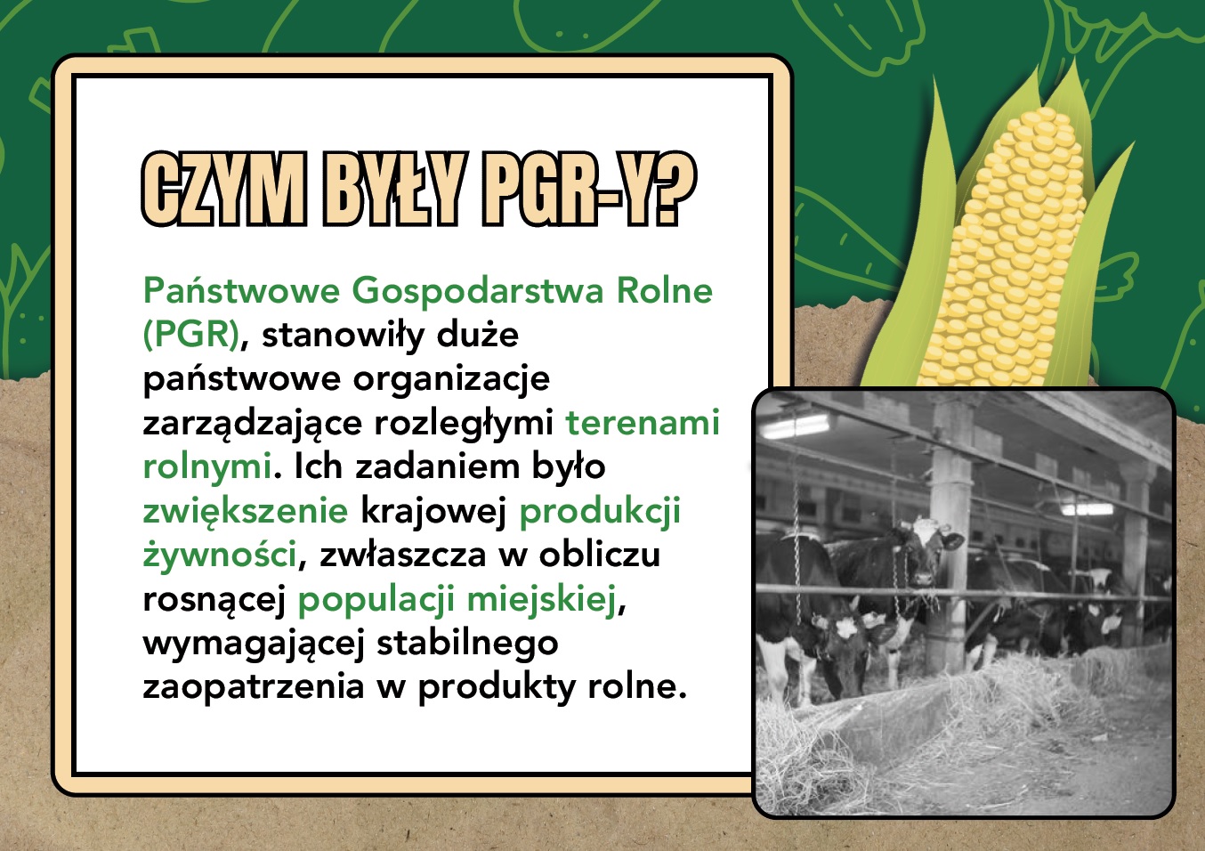Państwowe Gospodarstwo Rolne (PGR) - gazetka szkolna - 2026