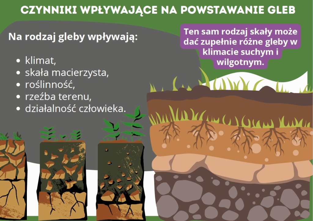 Gleby świata – gdzie występują i do czego się nadają? gazetka szkolna ...